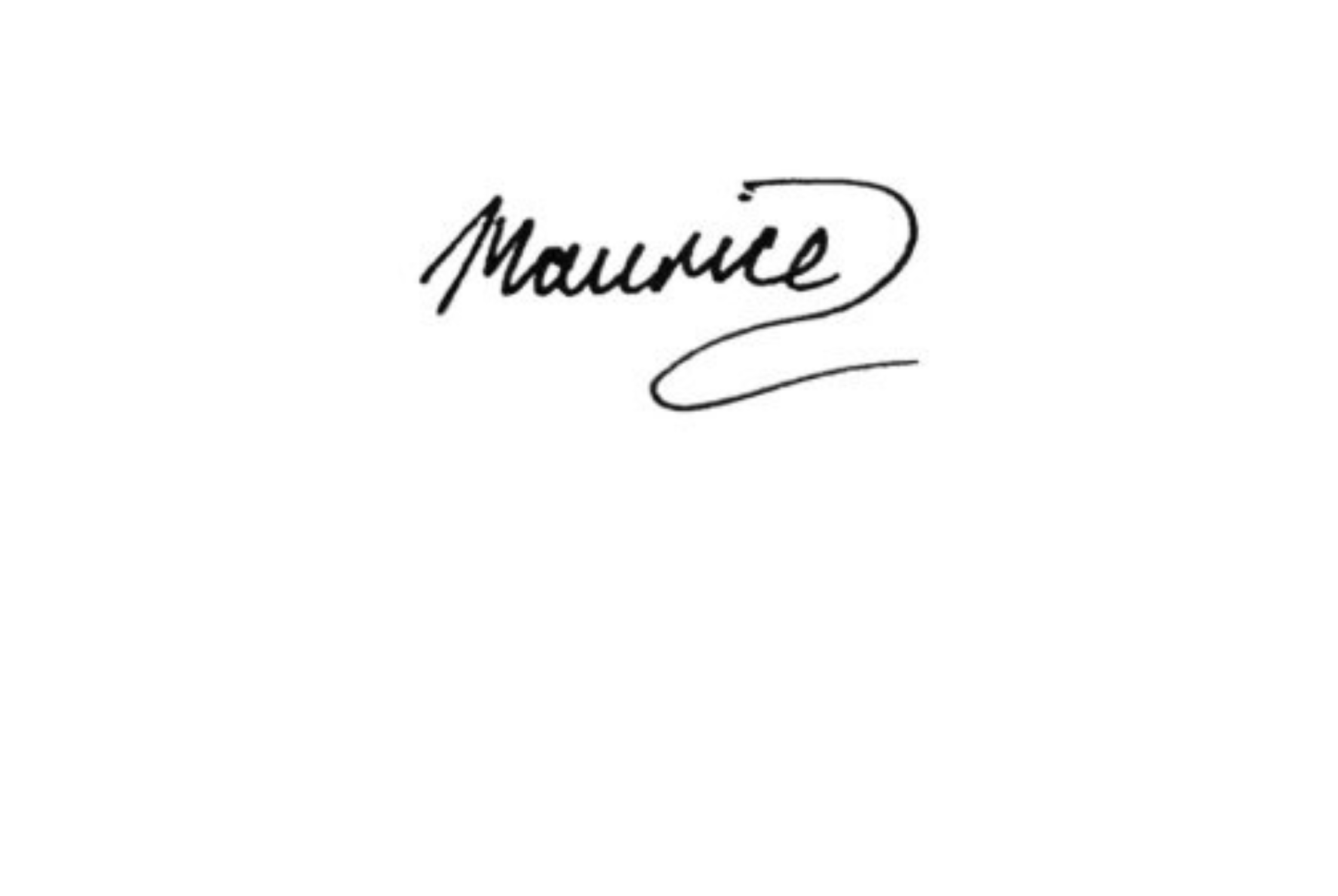 The Artist – Maurice Anthony Art